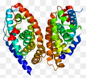 Hemoglobin Protein - Free Transparent PNG Clipart Images Download