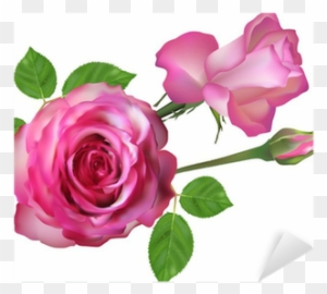 Two Isolated Light Pink Roses And Bud Sticker • Pixers® - Rose - Free ...