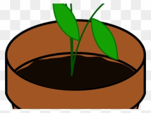 Potted Plants Clipart Grows - Plant Clip Art - Free Transparent PNG ...