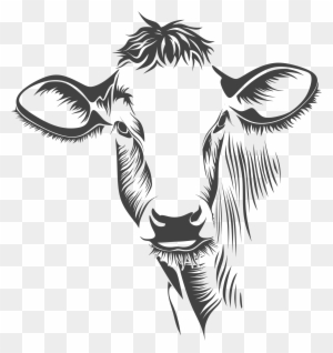 Cow Clipart Heifer - Show Heifer Clip Art - Free Transparent PNG ...