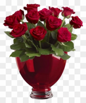 Swoon Over Me Dozen Red Roses - 1 2 Dozen Roses In Vase - Free ...