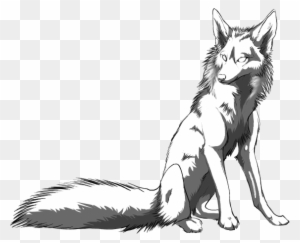 Sitting Wolf Drawing