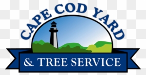 Cape Cod - Shape Of Cape Cod - Free Transparent PNG Clipart Images Download