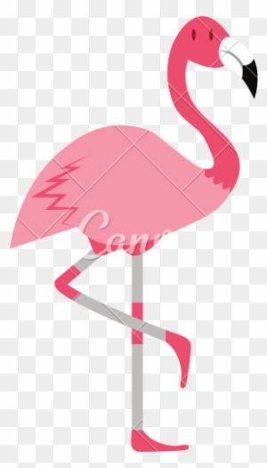 Cartoon Flamingo Isolated On White Background - Transparent Background ...