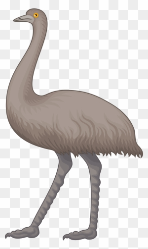 Emu Clipart, Transparent PNG Clipart Images Free Download - ClipartMax