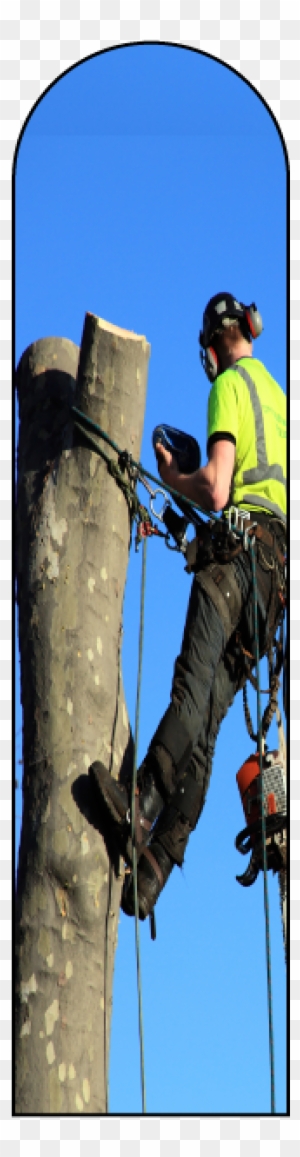 Silhouette Tree Climbing - Tree Climbing Png - Free Transparent PNG ...