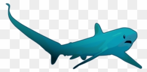 Tiger Shark Png Image - Shark - Free Transparent PNG Clipart Images ...
