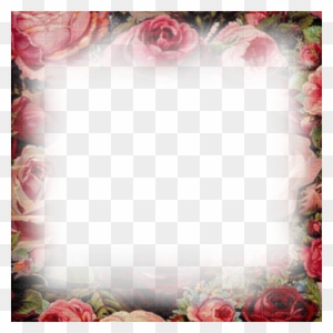 Free Digital Vintage Rose Frame And Border - Transparent Background ...