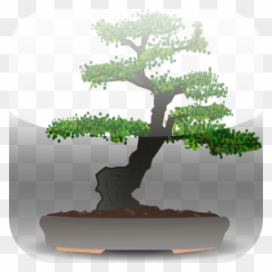 Tomago Bonsai - Tree Simulator - Free Transparent PNG Clipart Images ...