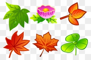 Leaves And Their Scientific Names By Starshinesuckerpunch - Different ...