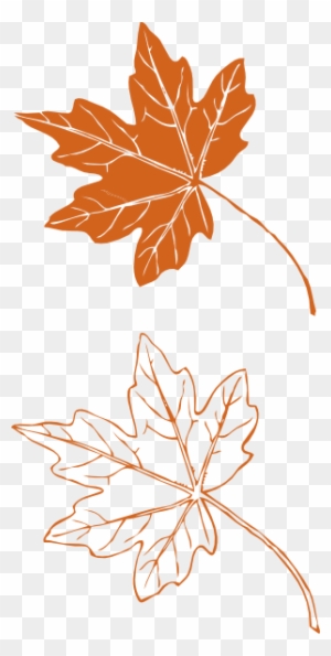 Fall Leaves Banner Png Download - Clip Art - Free Transparent PNG ...