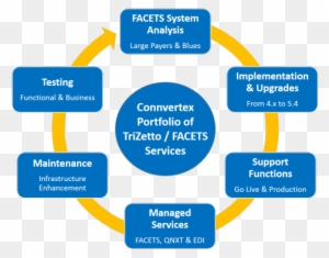 Star Model Coaching - Free Transparent PNG Clipart Images Download