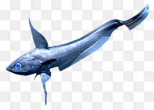 Cat Fish Clip Art - Cat And Fish Clip Art - Free Transparent PNG ...