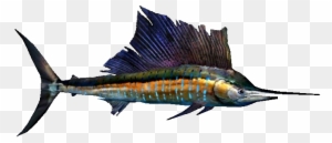 Atlantic Sailfish - Sailfish Png - Free Transparent PNG Clipart Images ...