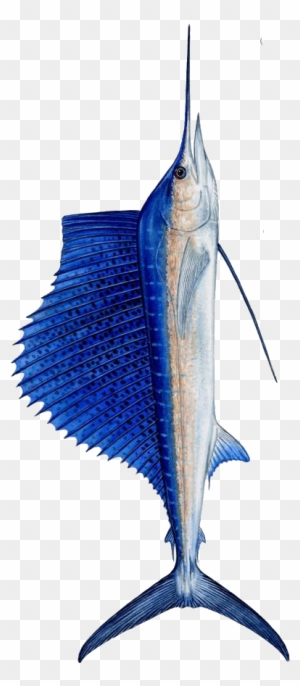 Rex Down Fish Merchants Has Been Established Since - Atlantic Blue ...