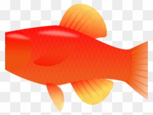 Fish Clipart Clear Background - Snapper - Full Size PNG Clipart Images ...
