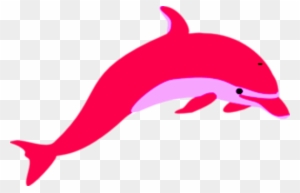 Pink Dolphin Free Images At Clker Com Vector Clip Art - Pink Dolphin ...
