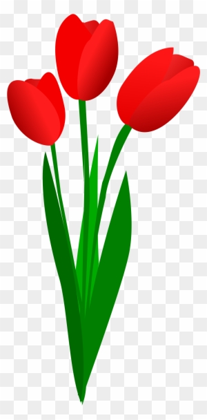 Tulip Clipart, Transparent PNG Clipart Images Free Download - ClipartMax