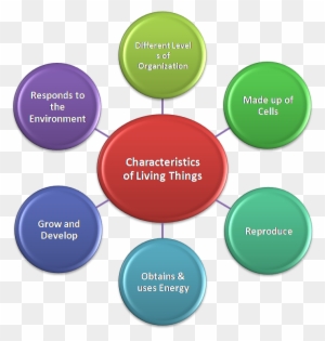 Six Characteristics/traits Of All Living Things - Vanadeviyin ...