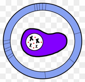 Interlab - Interlab - Free Transparent PNG Clipart Images Download