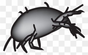 Dust Mites - Mite Transpartent Background - Free Transparent PNG ...