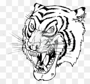 Tiger Facing Left Drawing - Free Transparent PNG Clipart Images Download