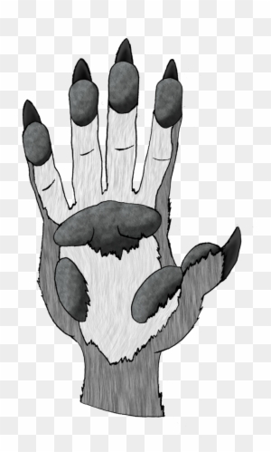 Anthro / Werewolf Hand By Ghostpatrol1 - Illustration - Free ...
