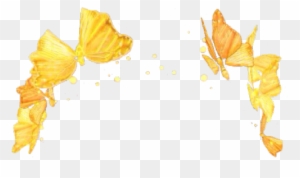 Snapchat Png Images Transpa Free Ilration By Vector - Snapchat Filters ...