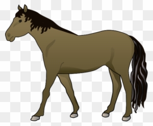 Equus Ferus Caballus - Horse Illustration - Free Transparent PNG ...