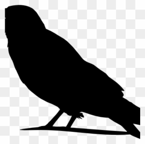 Crow Silhouette Pattern - Crow Outline - Free Transparent PNG Clipart ...