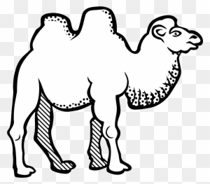 Clipart - Camel Line Art - Free Transparent PNG Clipart Images Download