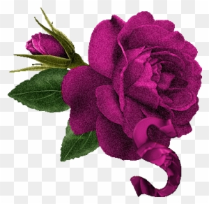 Welcome Rose - Free Transparent PNG Clipart Images Download