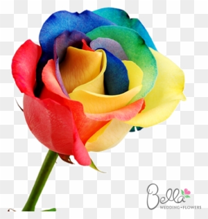 Rainbow - Multiple Color Flowers - Free Transparent PNG Clipart Images ...