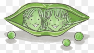 Like Two Peas In A Pod - Sketch - Free Transparent PNG Clipart Images ...