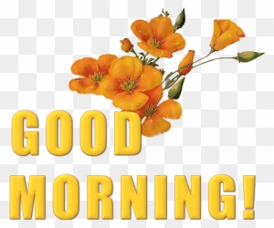 Goodmorning Sticker - Good Morning Motivation Gif - Free Transparent ...