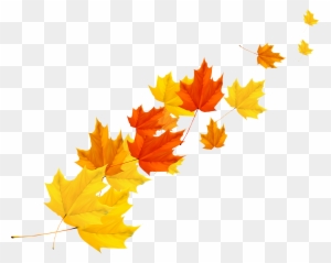 Maple Leaf Autumn - Maple Leaf Vector Png - Free Transparent PNG ...