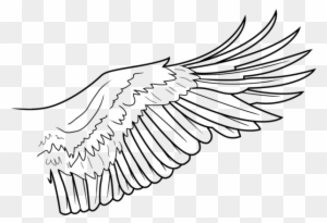 Simple Wing Lines By Freakzter Freebies On Deviantart - Eagle Wings ...