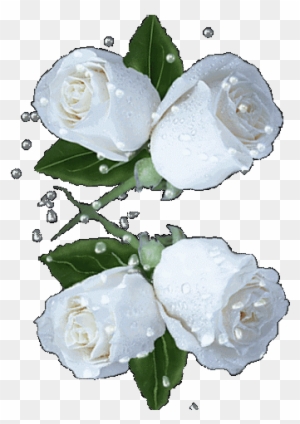 Блог Пользователя - White Flower Animated Gif - Free Transparent PNG ...