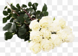 Swoon Over Me Dozen Red Roses - 1 2 Dozen Roses In Vase - Free ...