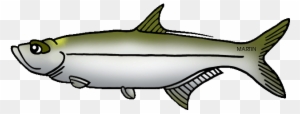 State Fish Of Hawaii - Hawaii State Fish Coloring Page - Free ...