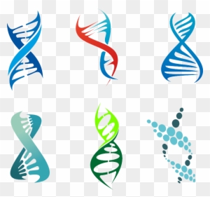 Dna Vector Genetics Royalty-free - Stylized Dna - Free Transparent PNG ...