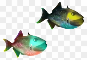 Stock Photography Fish Clip Art - Pomacentridae - Free Transparent PNG ...