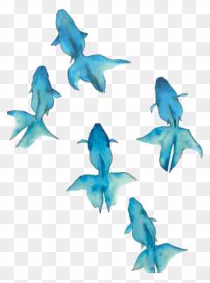 Watercolor Fish On Transparent Background - Free Transparent PNG ...