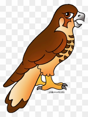 Red Tail Hawk Silhouette