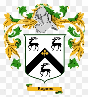 I Studied Photography, Graphic Design, Computer Science, - Temple Of ...