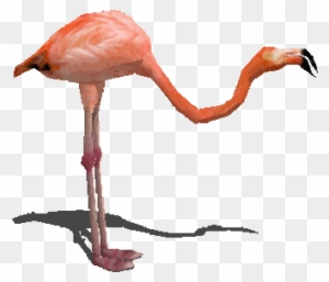 Image - Animated Gif Flamingo - Free Transparent PNG Clipart Images ...