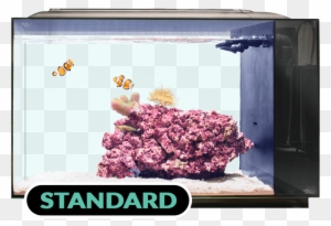 Biota Aquarium Tank Standard - Aquarium - Free Transparent PNG Clipart ...