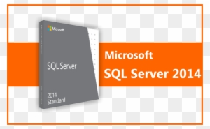 Windows Server 2008 Web - Windows Server 2008 Icon - Free Transparent ...