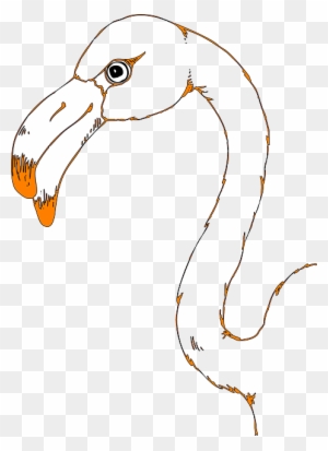 Flamingo Pattern - Flamingo Drawing Outline - Free Transparent PNG ...