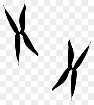 Roadrunner Tracks Rubber Stamp - Rubber Stamp - Free Transparent PNG ...